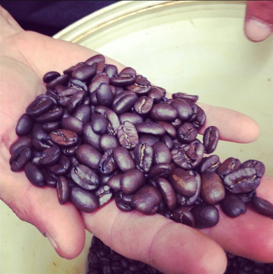 Best Kept Secret: Byron Bay’s Hinterland Produces Amazing Coffee